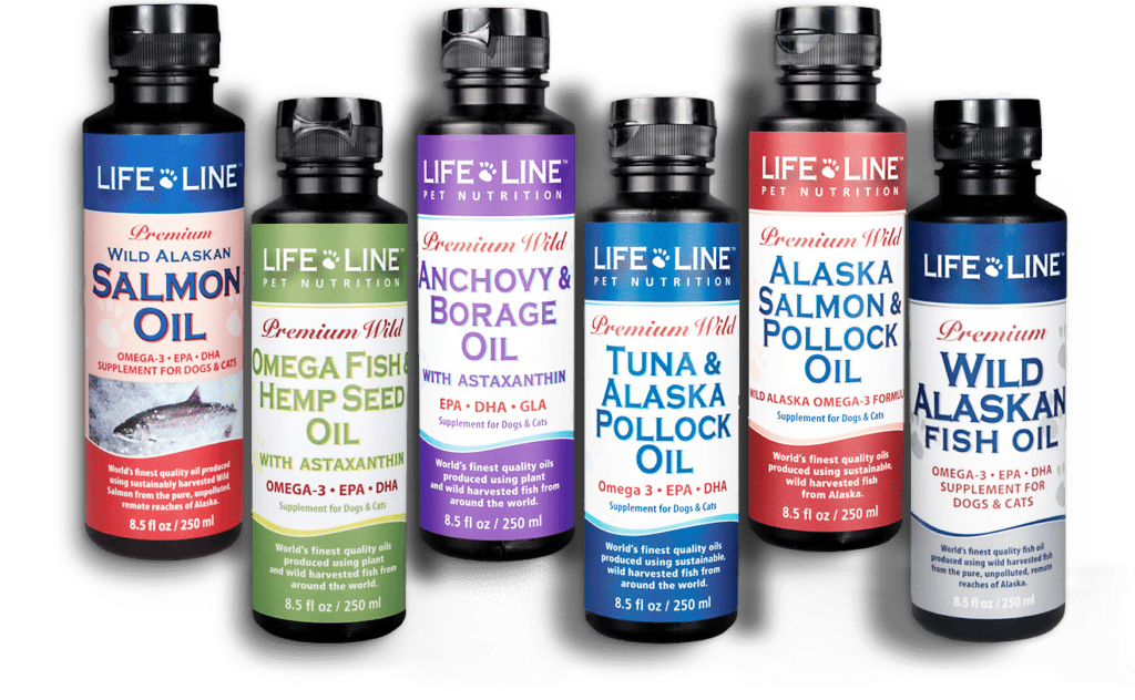 Case Study: Fish Oil Benefits Rescued Animals - Life Line Pet Nutrition